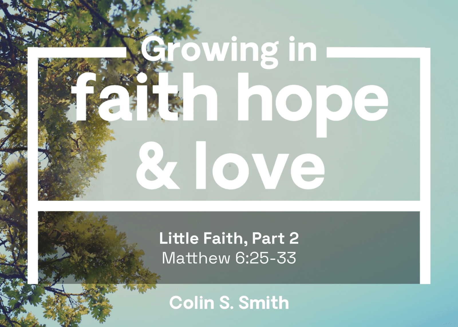 Little Faith, Part 2 - Open the Bible