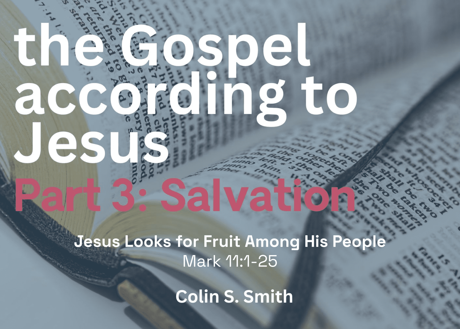 Jesus Looks for Fruit Among His People - Open the Bible