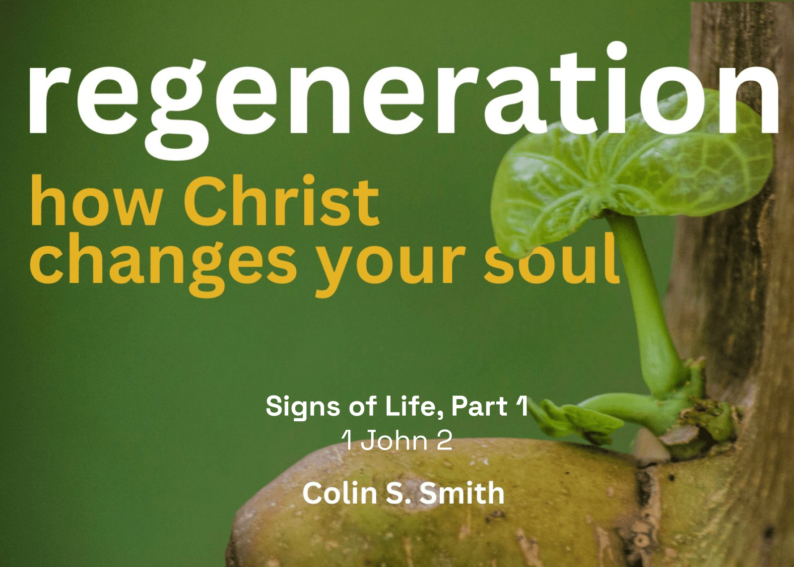 Signs of Life, Part 1 - Open the Bible