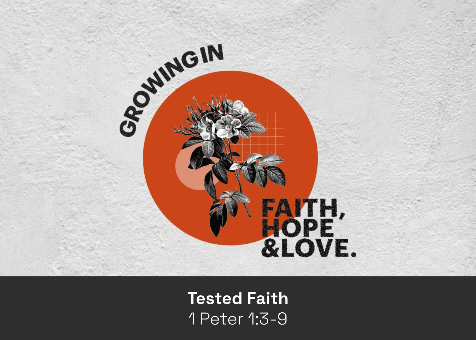 Sermons - Open the Bible