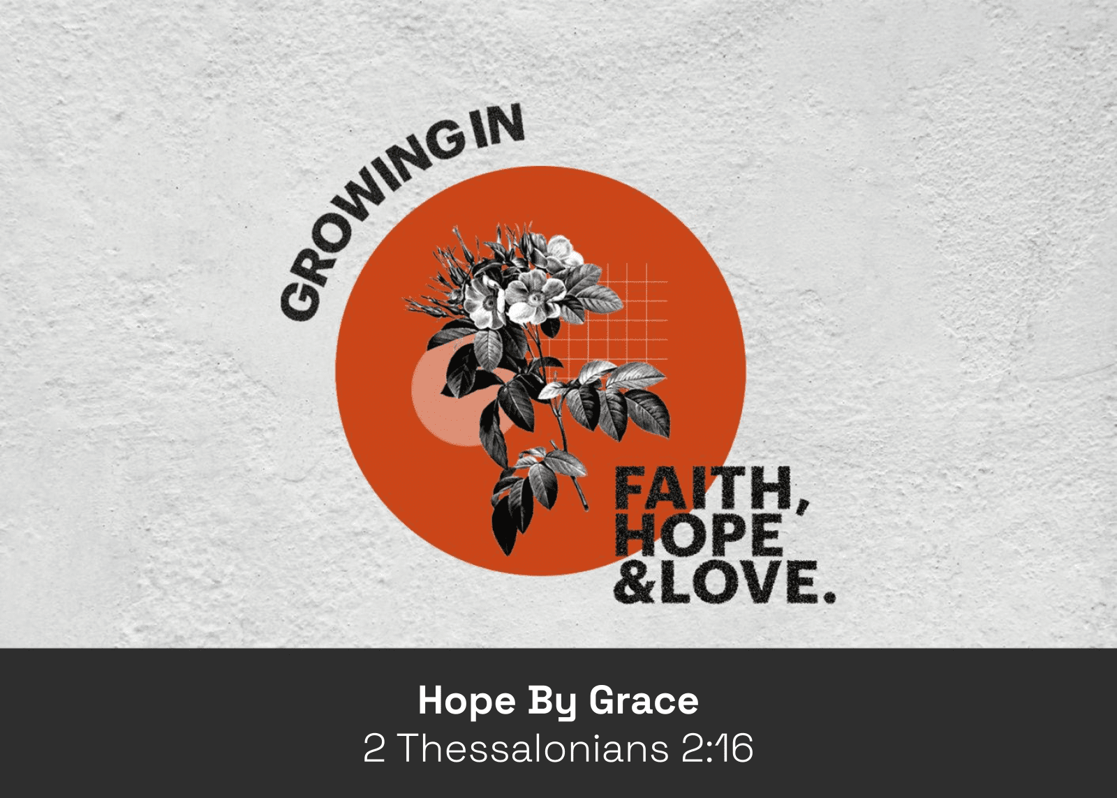 Hope By Grace - Open the Bible